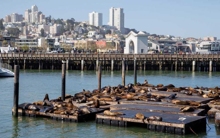 46 Most Famous Buildings In San Francisco